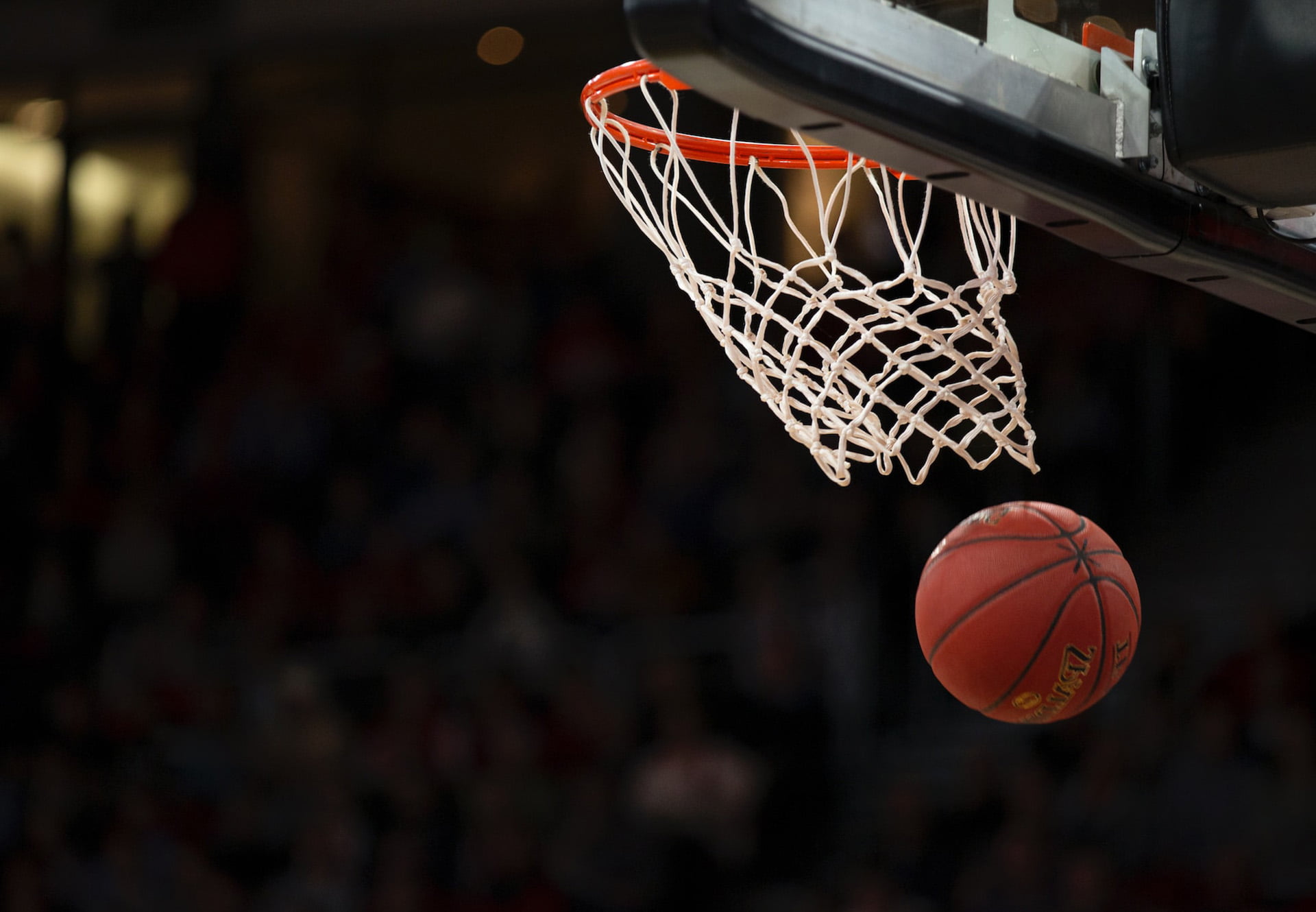 Dunk Calculator - Unlock Your Dunking Potential - Triple Threat Tactics